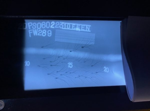 Radiographic Testing: A Beginner’s Guide – Kuzer Technical